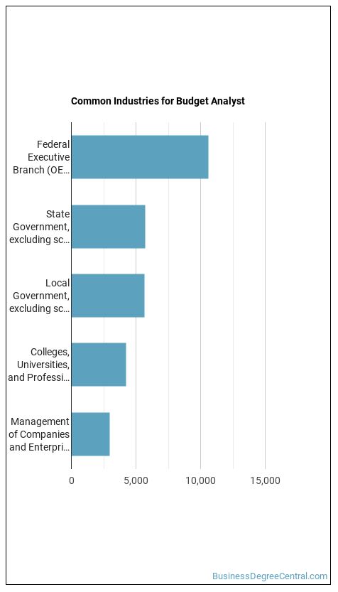 Budget Analyst Job Description & Duties - Business Degree Central