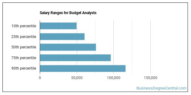 Budget Analyst Job Description & Duties - Business Degree Central