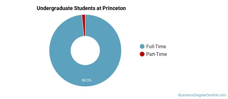 Princeton University Business Majors - Business Degree Central